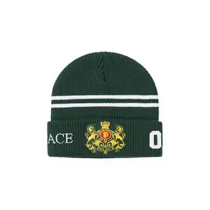 PALACE Established Beanie 'racey - Green