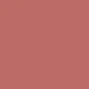 SENSAI Blooming Blush - Orange