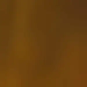 Matsuda M3086 Sunglasses
