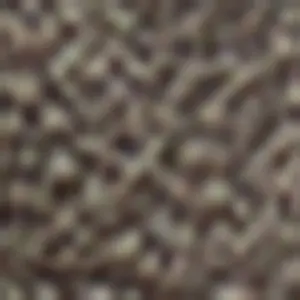 Max Mara Leather Woven Belt - Brown