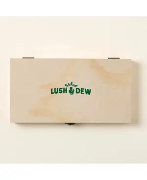 UNCOMMON GOODS Companion Planting Made Easy Seed Bank Set Lush & Dew