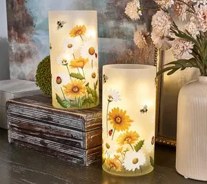 VALERIE PARR HILL Set Of 2 8' Illuminated Daisy Hurricanes Valerie - One-color