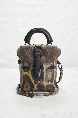LOUIS VUITTON Monogram Wild Animal Camera Box