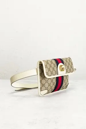 Gucci Ophidia Belt Bag
