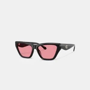 COACH C Hardware Cat Eye Sunglasses - Black