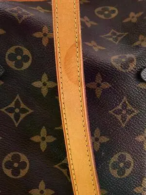 LOUIS VUITTON Melie Handbag Monogram Canvas Hobo