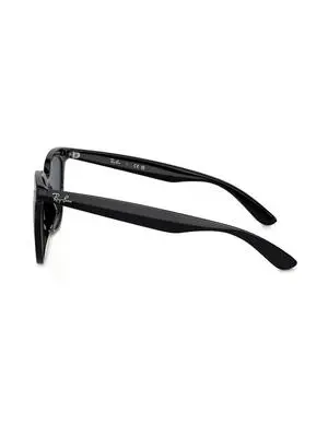 Ray-ban Sunglasses