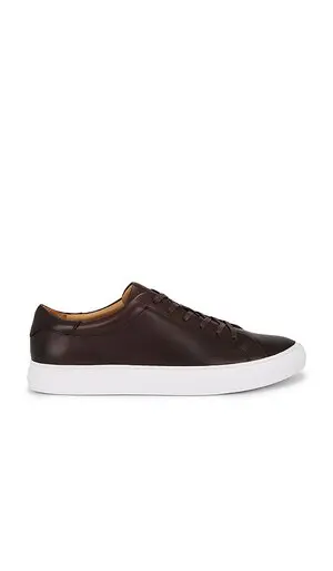 Polo Ralph Lauren Jermain Ii Leather Sneakers - Brown