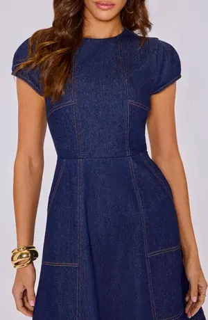 VICI Denim Midi Dress