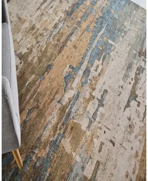 FEIZY Pearson Prs39scf Area Rug 10' X 12'7