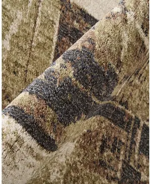 FEIZY Pearson Prs39stf Area Rug 10' X 12'7