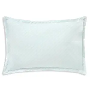 ANNE DE SOLENE Sham, Standard