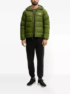 The North Face Hooded Puffer Jacket