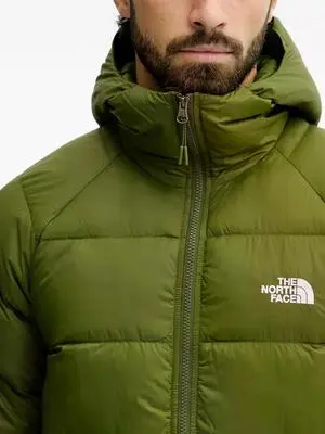 The North Face Hooded Puffer Jacket