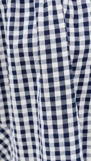 Free People Farley Gingham Tunic