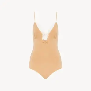 Chloé Lace-trimmed Bodysuit - Sheer Brown