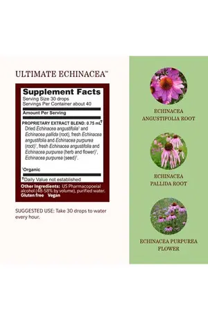HERBS ETC. Ultimate Echinacea 1 Oz