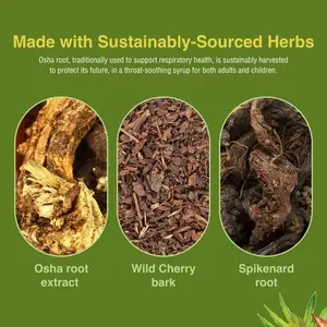HERBS ETC. Rocky Mountain Throat Syrup, Throat & Lung Support