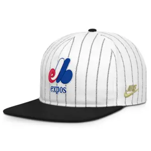Nike Montreal Expos Pro Mlb Adjustable Hat - White