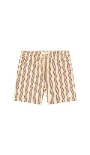 RYLEE + CRU Boardshort In Brown - Brown Butterscotch Stripe