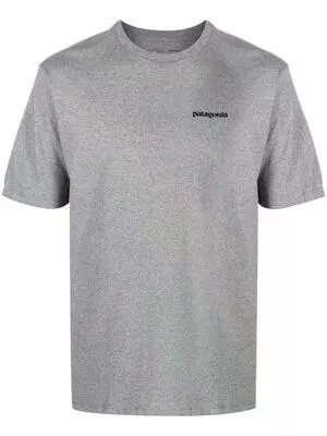 Patagonia Short Sleeve T-shirts For Men