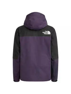 The North Face Mountain Hooded Jacket
