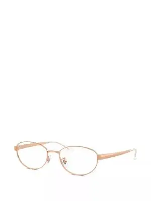 Ray-ban Oval-frame Glasses