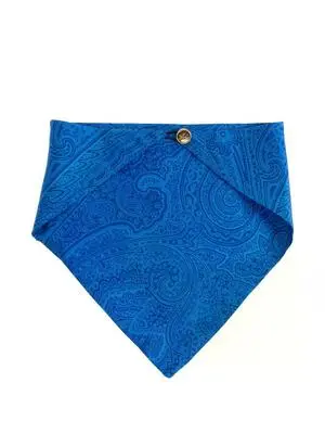 Etro Paisley Button Scarf
