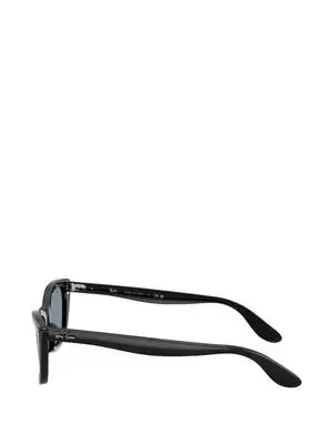 Ray-ban Lady Burbank Cat-eye Sunglasses - Black