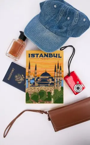 OLYMPIA LE-TAN Istanbul Clutch
