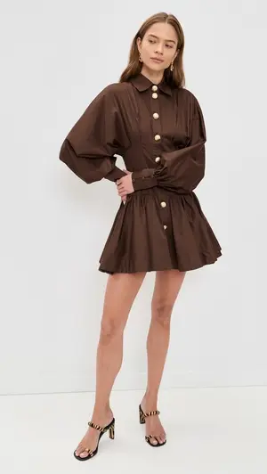 Aje Alexa Long Sleeve Mini Dress