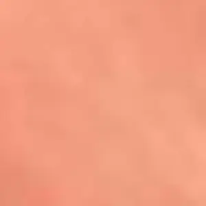 Chanel Les Beiges Water-fresh Blush - Orange