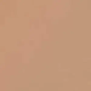 Chanel Les Beiges Water Fresh Complexion Touch - Nude