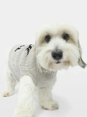 Zadig&Voltaire Zadog Wool Sweater