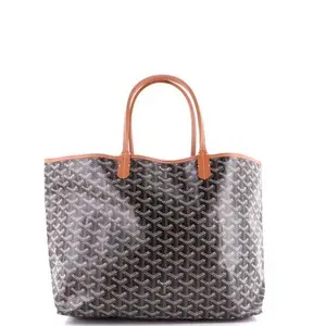 Goyard Saint Louis Pm Tote Coated Canvas