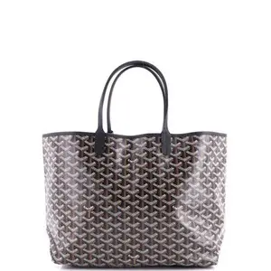 Goyard Saint Louis Pm Tote Coated Canvas