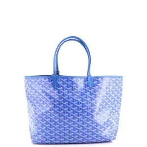 Goyard Saint Louis Pm Tote Coated Canvas