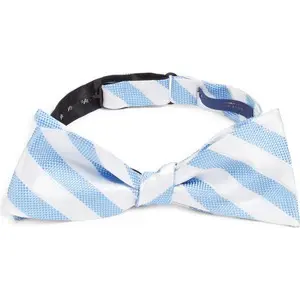 CLIFTON WILSON Stripe Silk Bow Tie - Blue