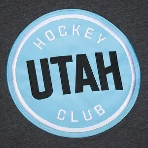 Mitchell & Ness Utah Hockey Club Playoff Pullover Hoodie