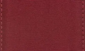 Carolina Herrera Icon Silk Faille And Leather Belt - Rioja