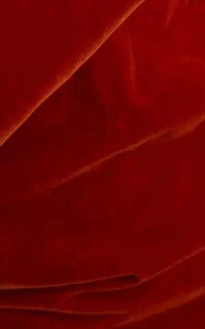 COLLEEN ALLEN Draped Cotton Velvet Shawl Top