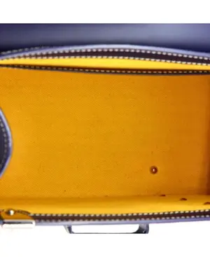 Goyard Pm Saigon Top Handle Bag - Blue