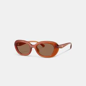 COACH C Hardware Round Sunglasses Milky Amber