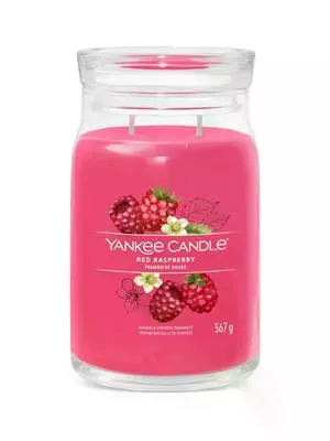 YANKEE CANDLE Red Raspberry Candle - Pink