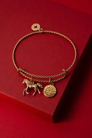 ALEX AND ANI Horse Rope Textured Charm Bangle Bracelet