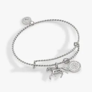 ALEX AND ANI Horse Rope Textured Charm Bangle Bracelet Silver