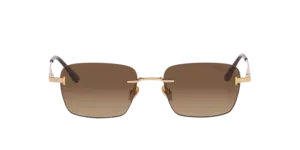 TOM FORD Sunglasses - Brown Gradient