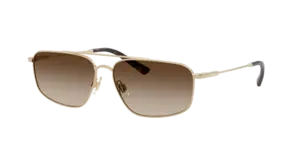Polo Ralph Lauren Sunglass Ph3164 Brown Gradient Dark Brown