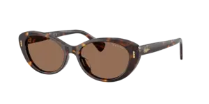 Ralph Lauren Sunglasses - Brown