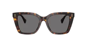 Ralph Lauren Sunglasses - Polarized Grey